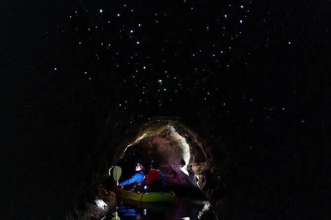 Glow Worm Kayak Tour - Key Points