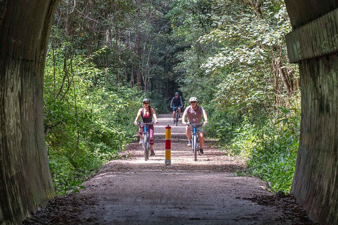 Glow Worm Tunnel Evening Guided Tour - An Introduction to the Glow Worm Tunnel Evening Guided Tour