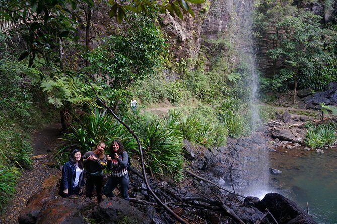 Glow Worms + Day/Night Rainforest & Waterfalls Experience - Who Will Love This Tour?