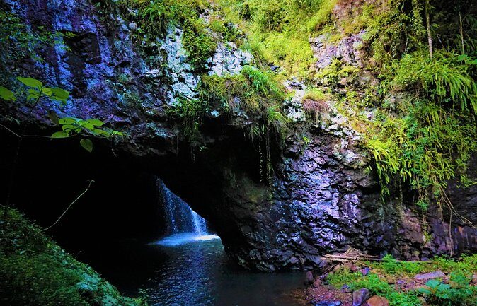 Glow Worms + Day/Night Rainforest & Waterfalls Experience - Who Should Book This Tour?
