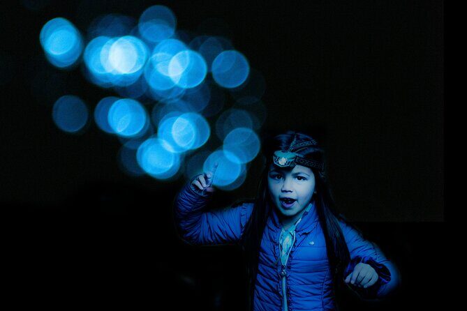 Glow-worms, Waterfalls & Rainforest Experience - Who Will Love This Experience?