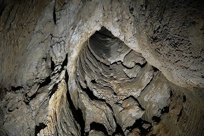 Glowworm Caves & Hamilton Gardens Day Tour from Auckland - The Sum Up