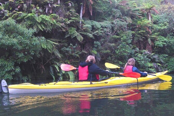 Glowworm Kayak Adventure on the Waikato River - Experience the Glowworm Kayak Adventure on the Waikato River