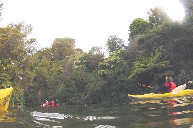 Glowworm Kayak Adventure on the Waikato River - An In-Depth Look at the Glowworm Kayak Experience