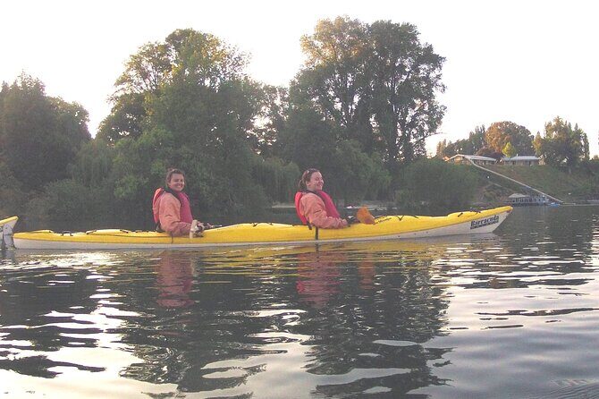 Glowworm Kayak Adventure on the Waikato River - Practical Details and Tips