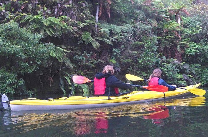 Glowworm Kayak Adventure on the Waikato River - FAQ