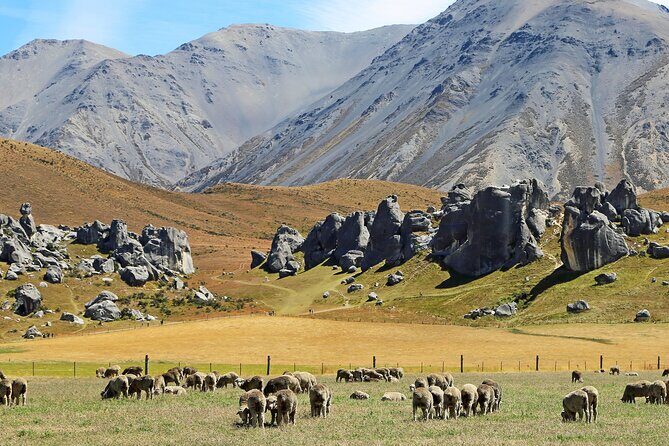 Go Caving & visit Castle Hill Rocks ex Lyttelton(Shore Excursion) - Key Points