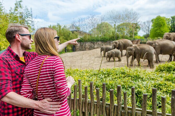 Go City: Dublin Explorer Pass - Choose 3, 4, 5 or 7 Attractions - Pricing and Overall Value