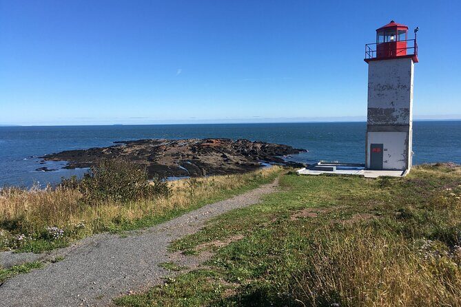 Go Fundy Tours - A Deep Dive into the Experience