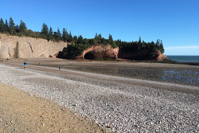 Go Fundy Tours - Frequently Asked Questions