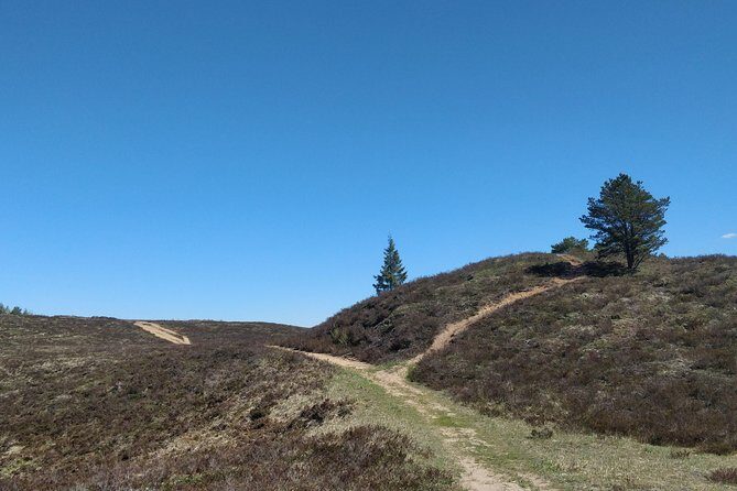 Go North  Private 1 Day Trip to Estonian Nature - Why This Tour Offers Good Value