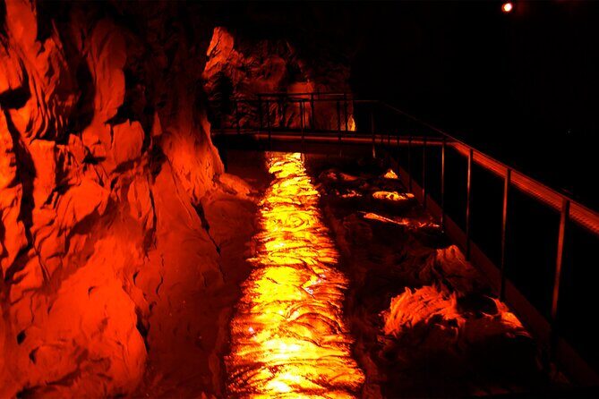 Go North Tour - Madeira Island Excursion - Practical Tips for Making the Most of the Tour