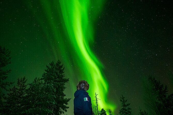 Go on a Northern Lights Photography Tour - Small Group by minivan - Rovaniemi Northern Lights Photography Tour – Small Group by Minivan