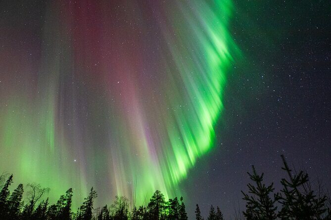Go on a Northern Lights Photography Tour - Small Group by minivan - Who Is This Tour Best For?