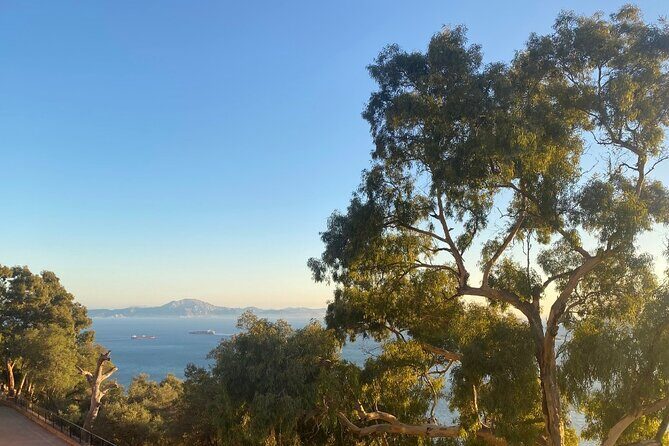 Go Tours Private Rock Experience Tour in Gibraltar - The Sum Up