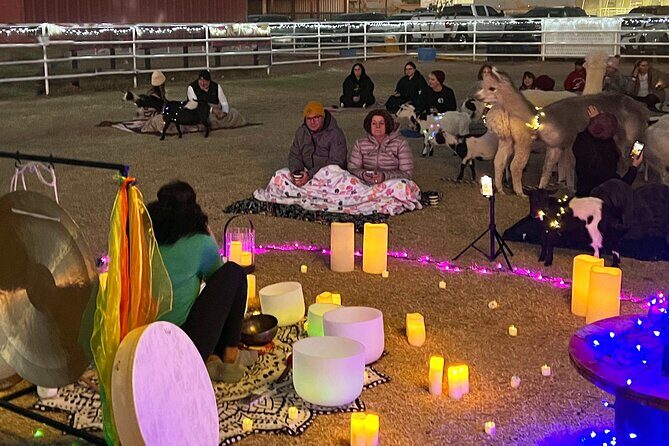 Goat and Alpaca Sound Bath - Gilbert Arizona - Final Thoughts: Is It Worth It?