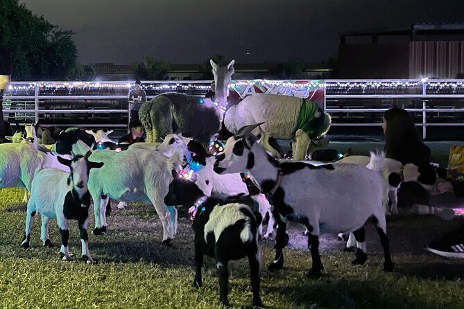 Goat and Alpaca Sound Bath - Gilbert Arizona - FAQ