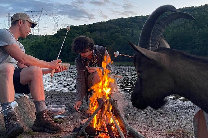 Goat Hiking, Beaver Dam Visit and picnic in Quebec forest - The Sum Up: Who Will Love This Experience?