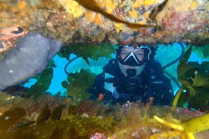 Goat Island Experience Guided Shore Dive - Frequently Asked Questions