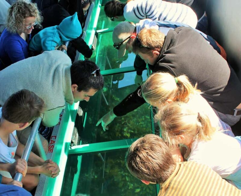 Goat Island: Glass Bottom Boat Tour - Who Will Love This Tour?