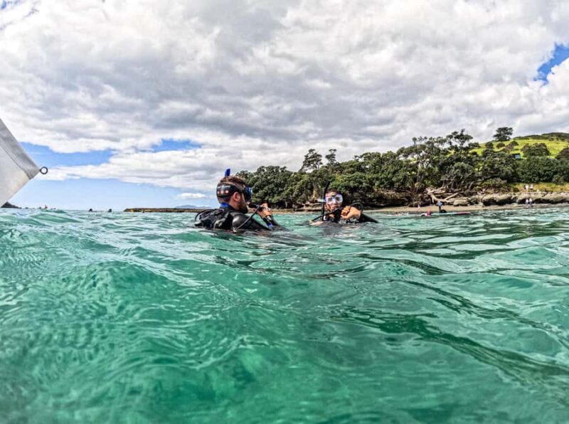 Goat Island Try Scuba Diving Experience - What to Expect & Practical Details