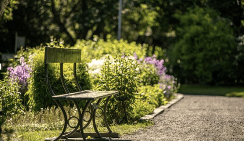 Godafoss Express Classy Round Trip Multiple Drop Off Choice - What’s Included and What’s Not