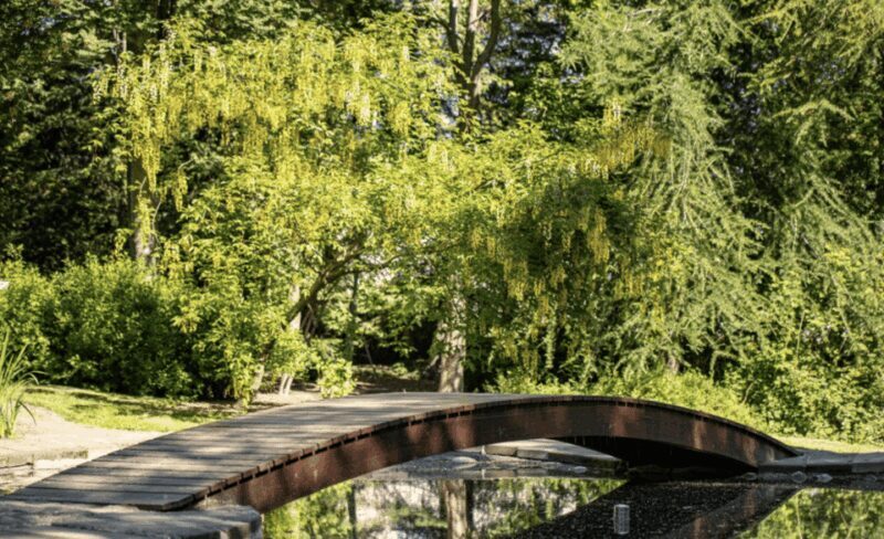 Godafoss Express Classy Round Trip Multiple Drop Off Choice - Why Choose This Tour?