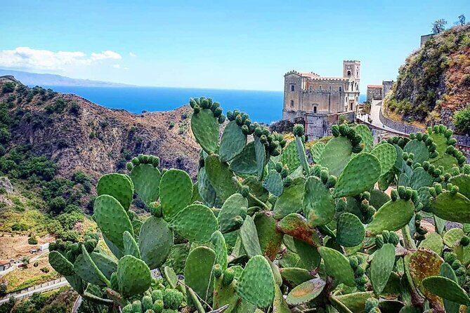 Godfather tour + possibility Sicilian food & house wine tasting - Who Should Book This Tour?