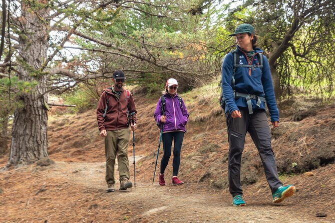Godley Head & Lyttelton Scenic Drive & Guided Walk (Private Tour) - The Meeting Point & Pickup