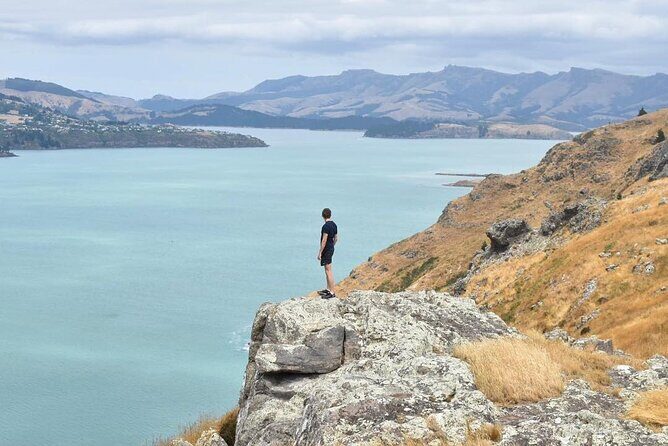 Godley Head & Lyttelton Scenic Drive & Guided Walk (Private Tour) - Ending Back at the Start