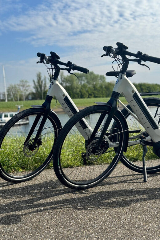 Goes: Full-Day E-Bike Rental - Frequently Asked Questions