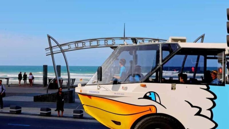 Gold Coast: 1-Hour Land and Water Duck Tour - Key Points