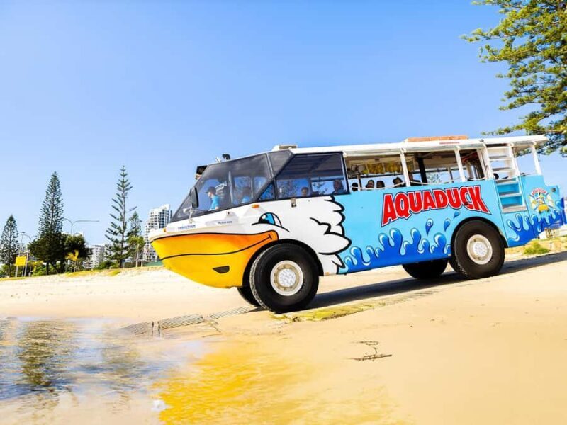 Gold Coast: 1-Hour Land and Water Duck Tour - Practical Details and What to Expect