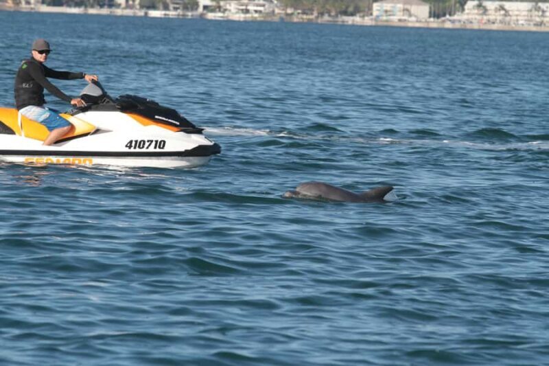 Gold Coast: 30 min Jet Ski Hire - No Slow Zones - What to Expect from the Jet Ski Experience