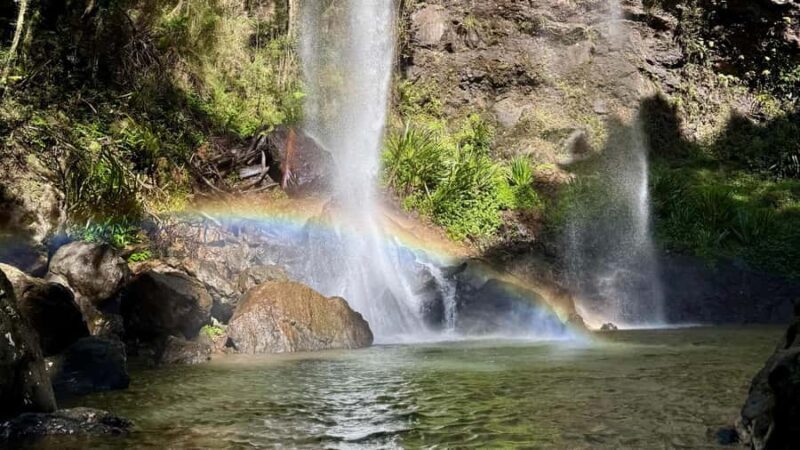 Gold Coast: 6 Waterfalls, Koalas & Natural Bridge Day Tour - Picnic and Rainforest Walks