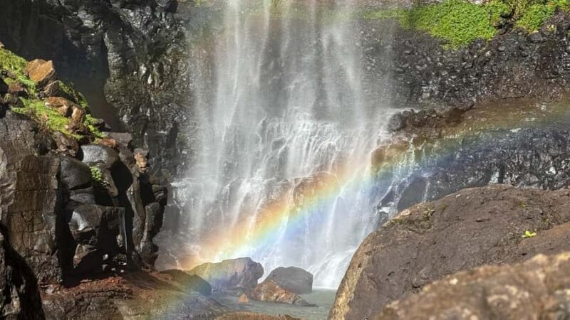 Gold Coast: 6 Waterfalls, Koalas & Natural Bridge Day Tour - Practical Details and Value