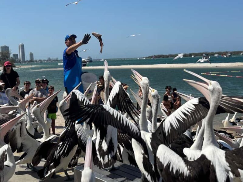 Gold Coast and Craft Brewery VIP Tour from Brisbane - Exploring the Gold Coast and Beenleigh Distillery with a VIP Twist