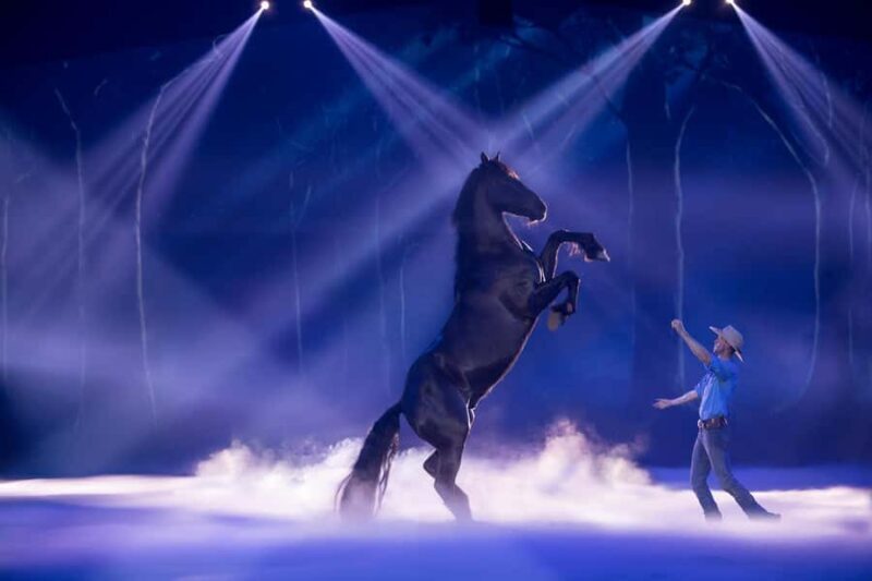 Gold Coast: Australian Outback Spectacular Dinner & Show - What Is the Australian Outback Spectacular?