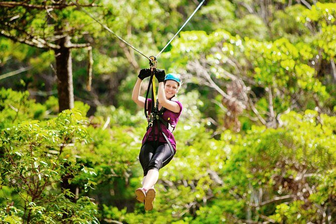 Gold Coast Canyon Flyer Zipline Tour - Gold Coast Canyon Flyer Zipline Tour: An Adrenaline-Packed Adventure with a View