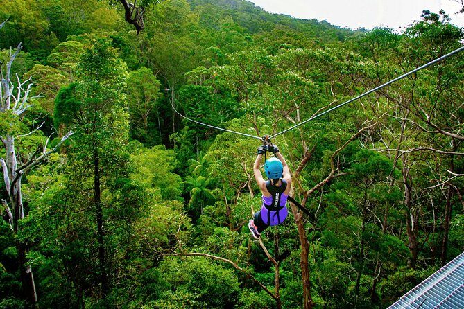 Gold Coast Canyon Flyer Zipline Tour - An In-Depth Look at the Gold Coast Canyon Flyer Zipline Tour