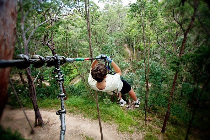 Gold Coast Canyon Flyer Zipline Tour - What Makes This Tour Special?