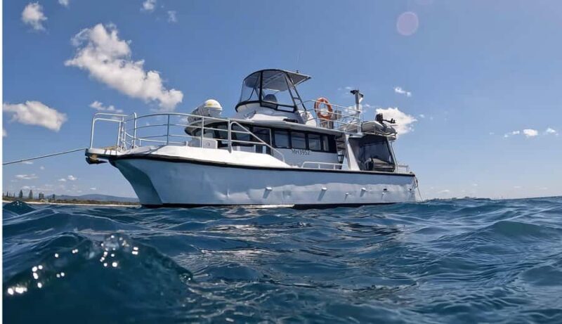 Gold Coast: Cook Island Marine Reserve Scuba Experience Dive - An Overview of the Experience