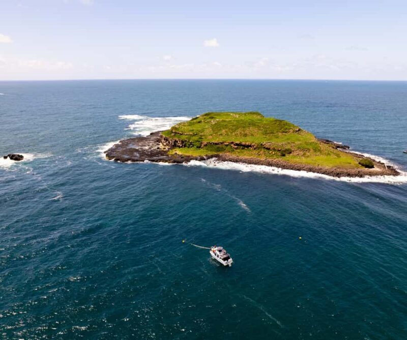 Gold Coast: Cook Island Marine Reserve Scuba Experience Dive - Who Will Enjoy This Most?