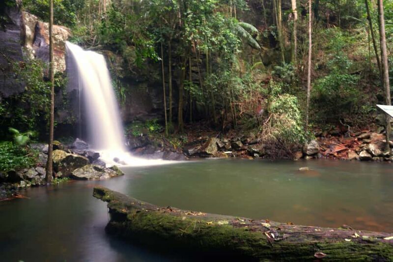 Gold Coast: Glow Worms Day/Night Rainforest & Waterfall Walk - Who Will Love This Tour?