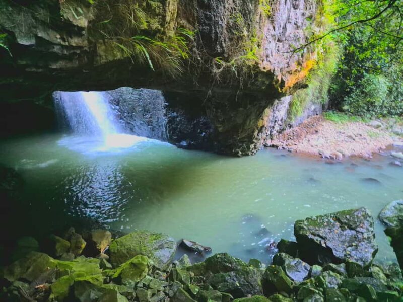 Gold Coast: Glow Worms Day/Night Rainforest & Waterfall Walk - FAQ