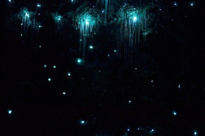 Gold Coast: Glow Worms, Sunset & Stargazing with BBQ dinner - FAQ