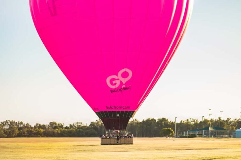 Gold Coast: Hot Air Balloon Flight with Buffet Breakfast - Key Points