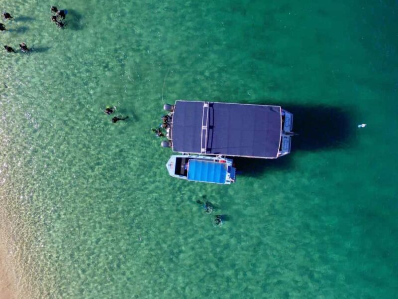 Gold Coast: Introductory SCUBA Diving Experience - Who Should Consider This Tour?