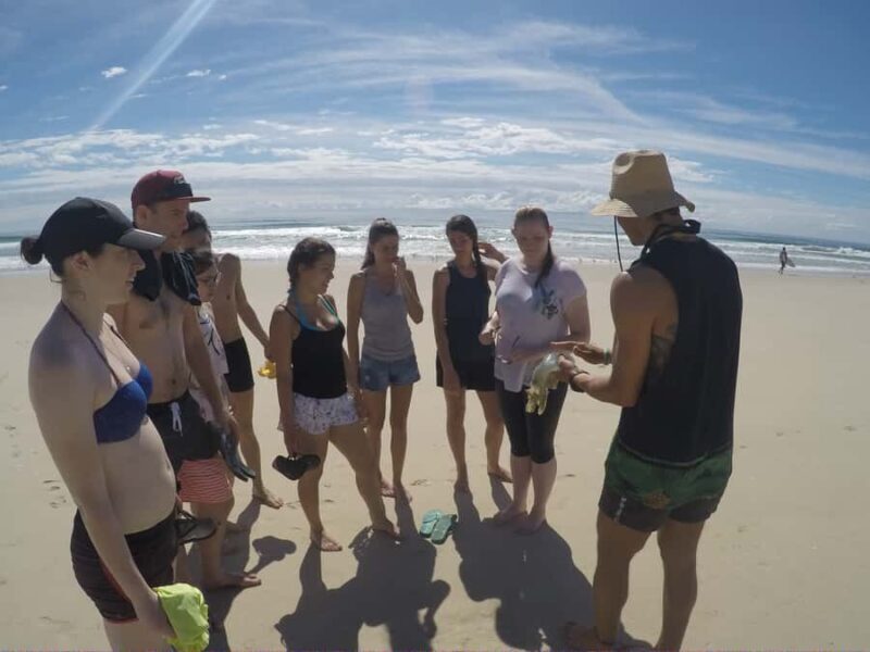 Gold Coast: Kayaking and Snorkeling Guided Tour - The Value Proposition
