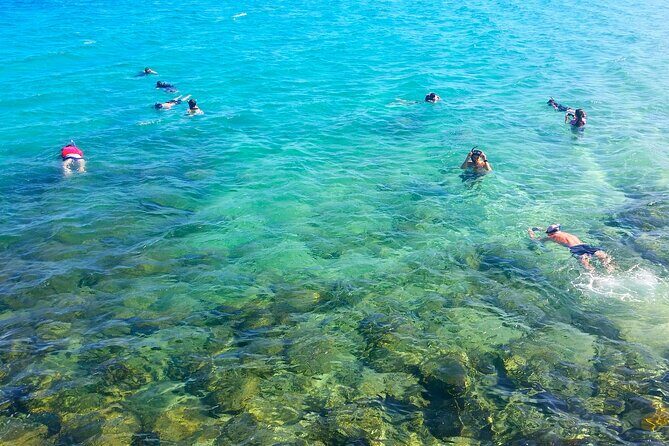 Gold Coast Kayaking & Snorkelling Tour (2.5 Hours) - Exploring the Gold Coast Kayaking & Snorkelling Tour – A Practical & Enjoyable Experience